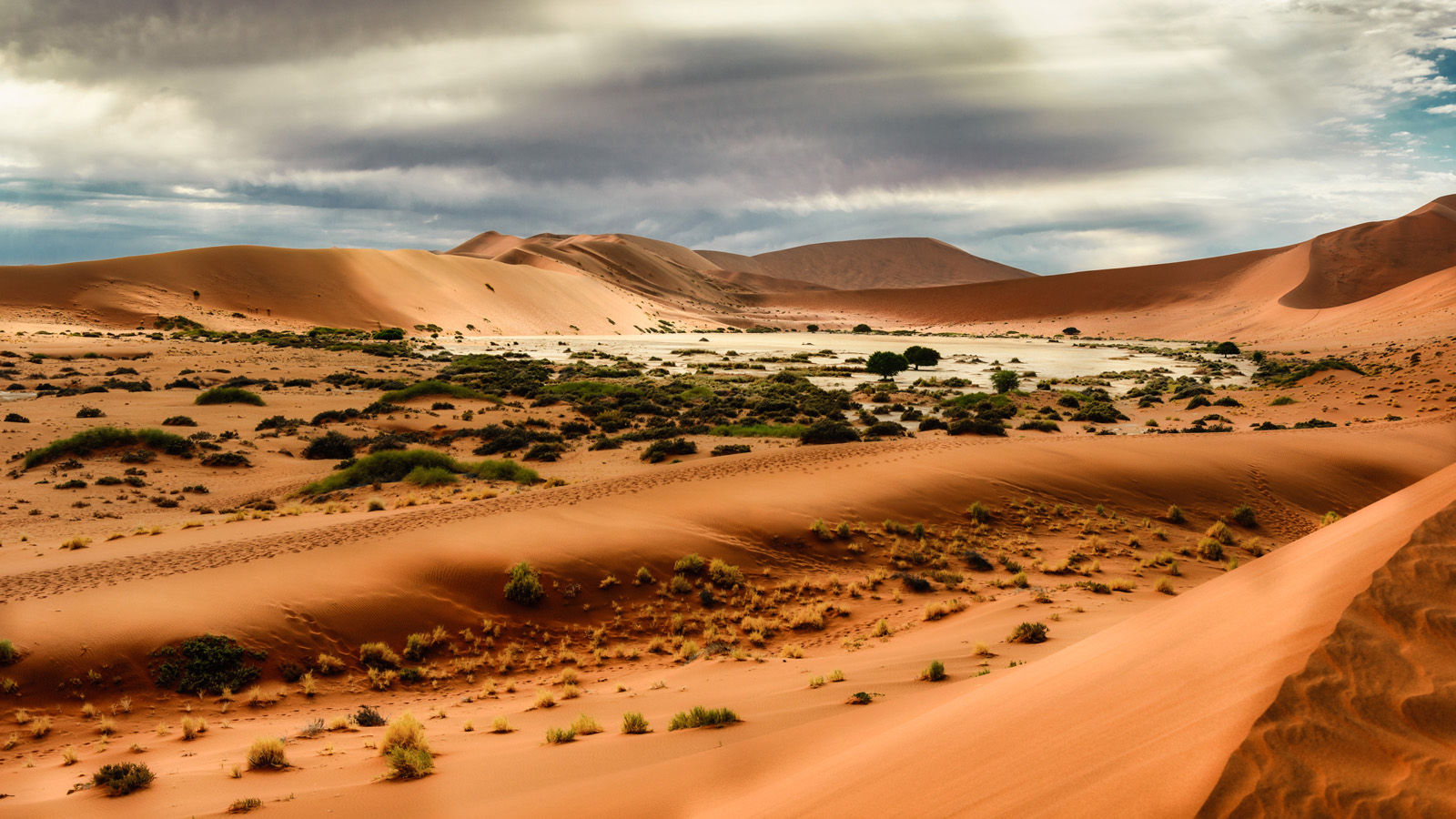 National Geographic Reise: Krüger Nationalpark & Namibia ...