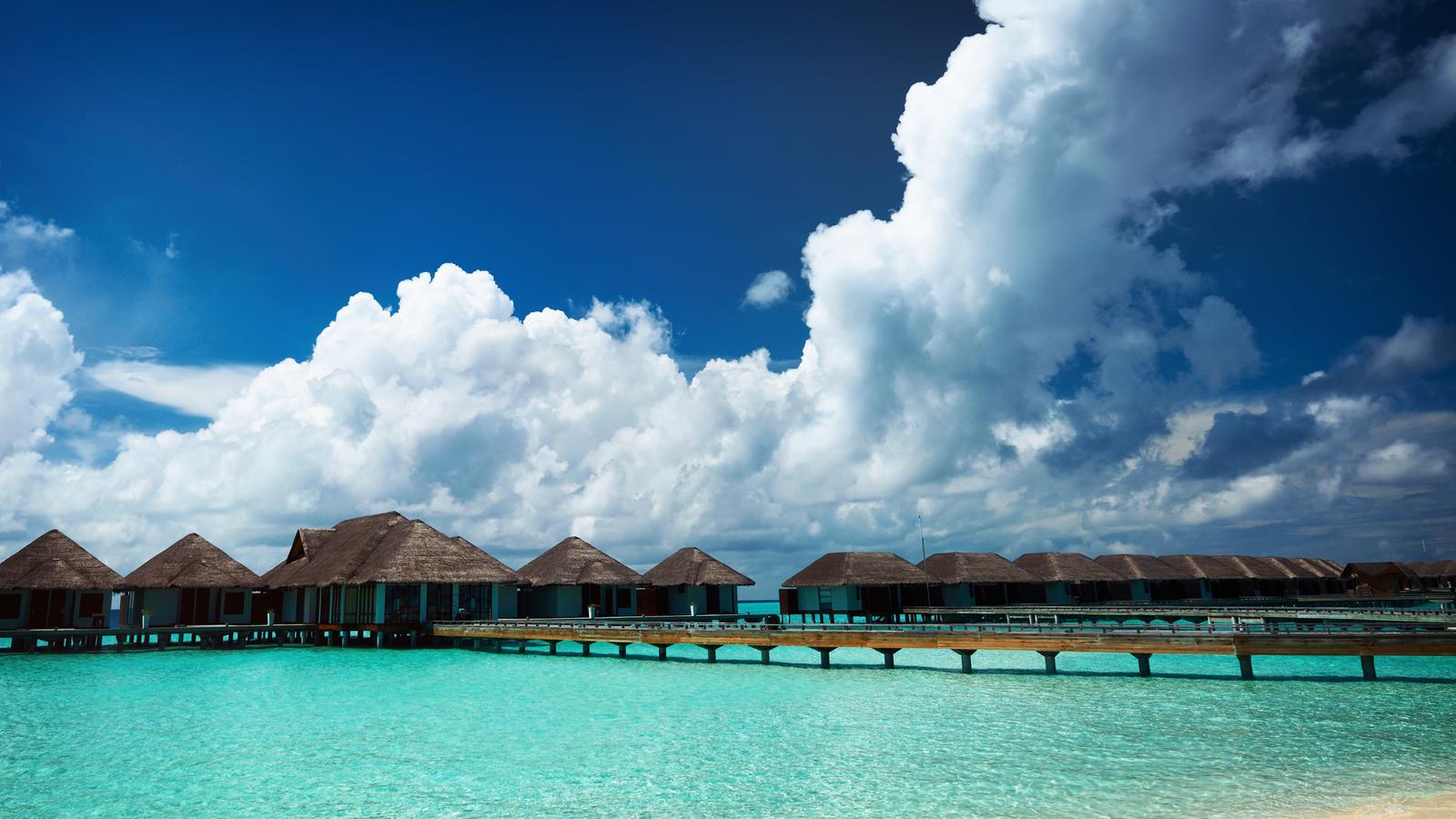 Sri Lanka Abenteuerreise & Segeln auf den Malediven - traveljunkies.tours