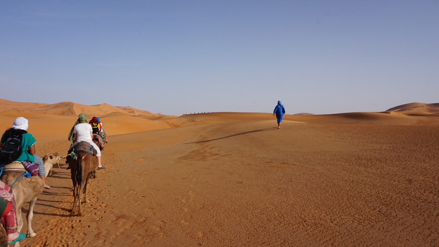 Marokko Gruppenreise: Wüsten & Küsten - traveljunkies.tours
